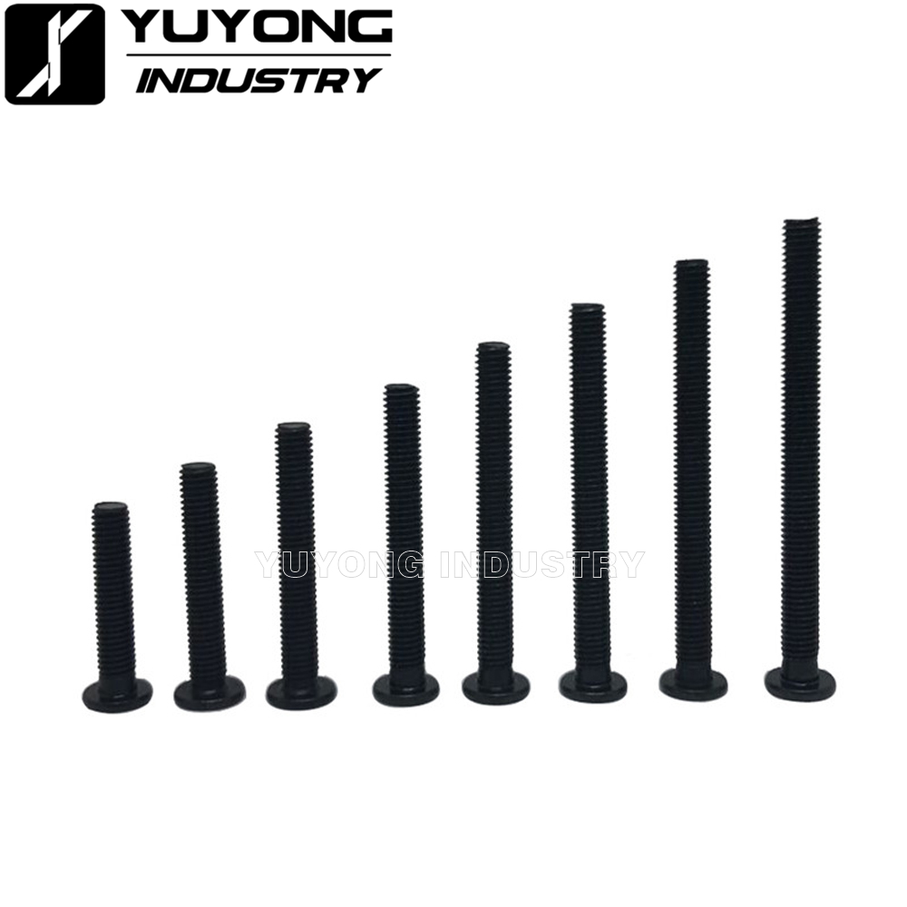 M5 Low Profile Screws - YUYONG INDUSTRY